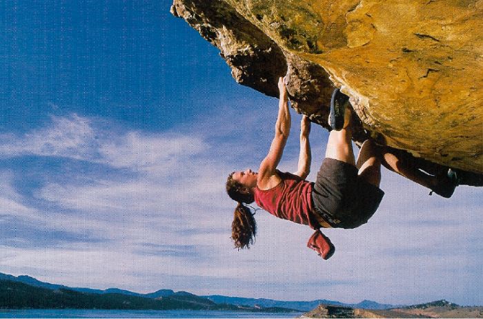 Writing Portfolio - Stephanie Forte